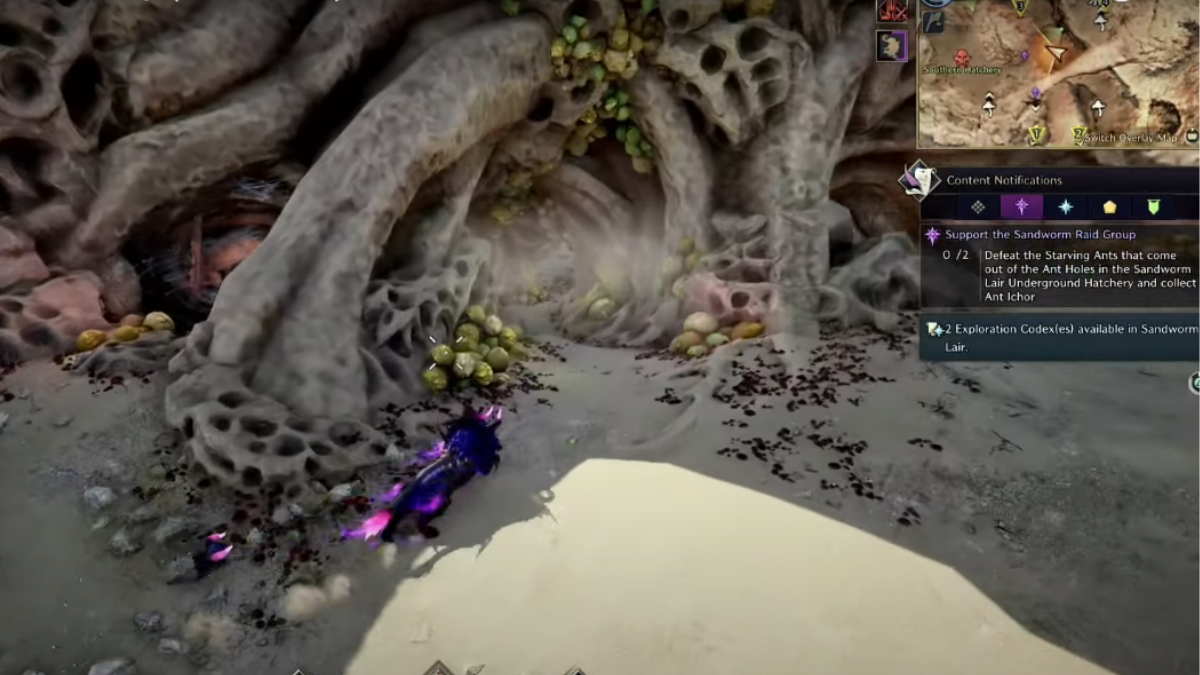 王位与自由：支持Sandworm Raid Group Codex指南 - 幻核领域