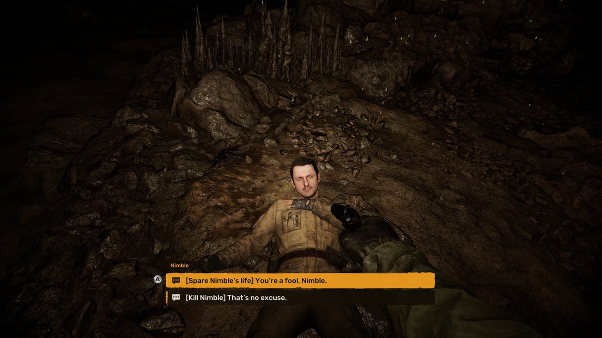 饶恕 Nimble 的生命 vs 杀死 Nimble 选择指南 Stalker 2